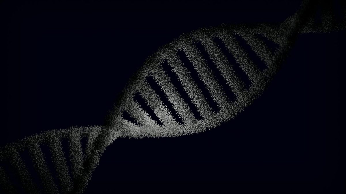 Sleep Stages Explained: How REM and NREM Cycles Restore You